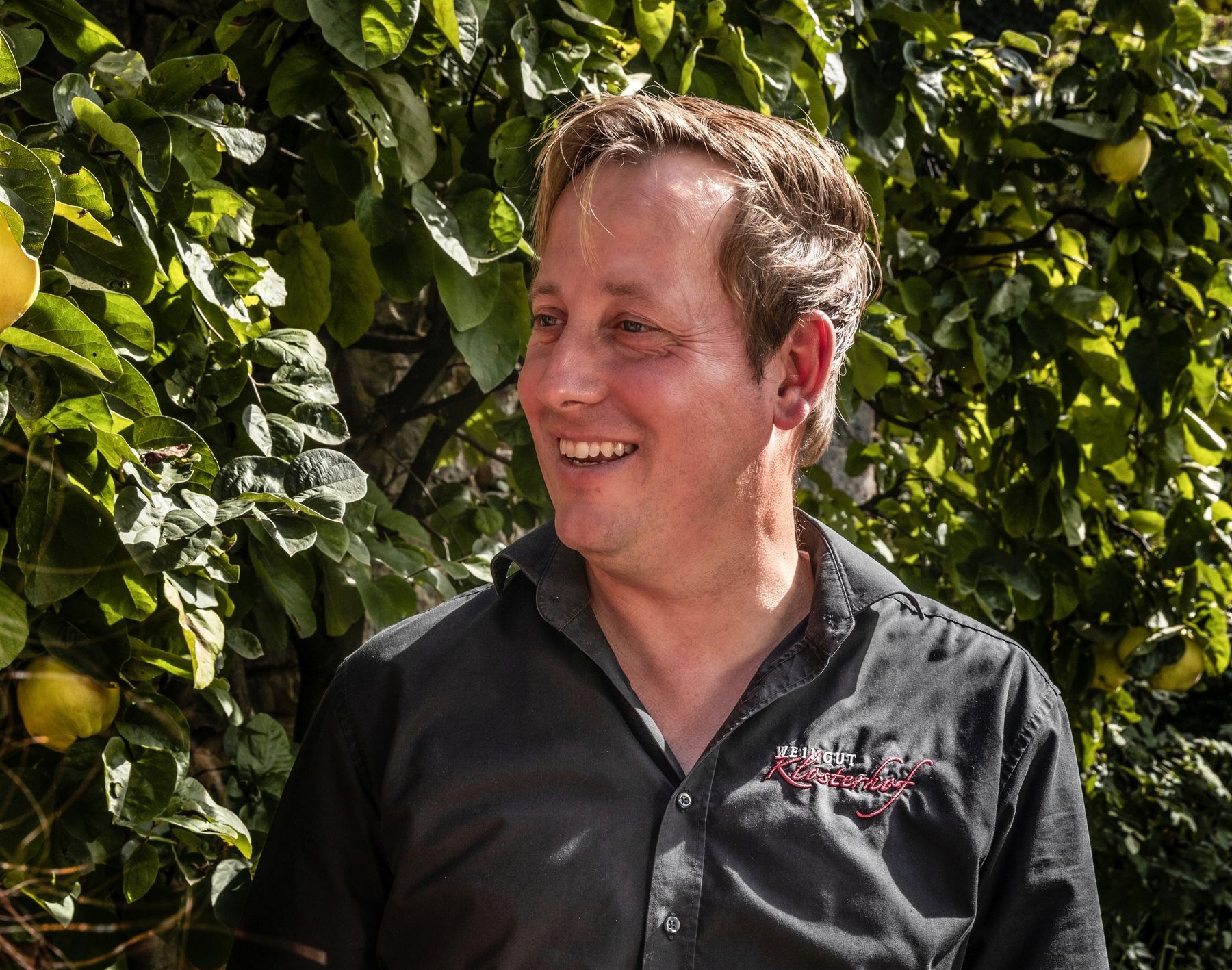 Klosterhof Lösch - winegrower in Rheinhessen