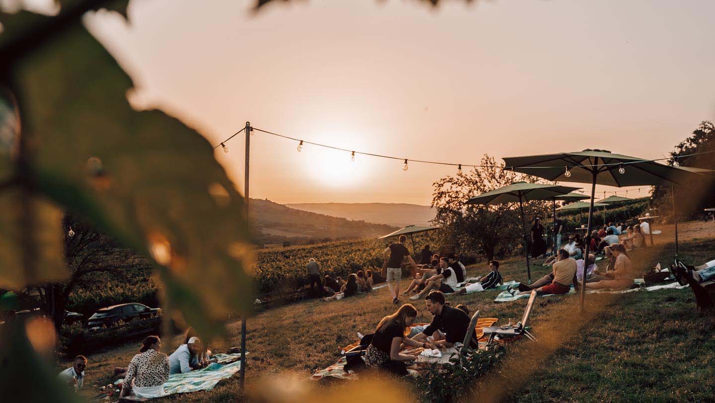 Winery Singer-Fischer