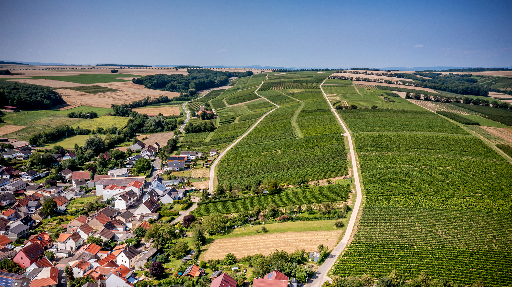 Appenheimer Eselspfad - Ingelheim