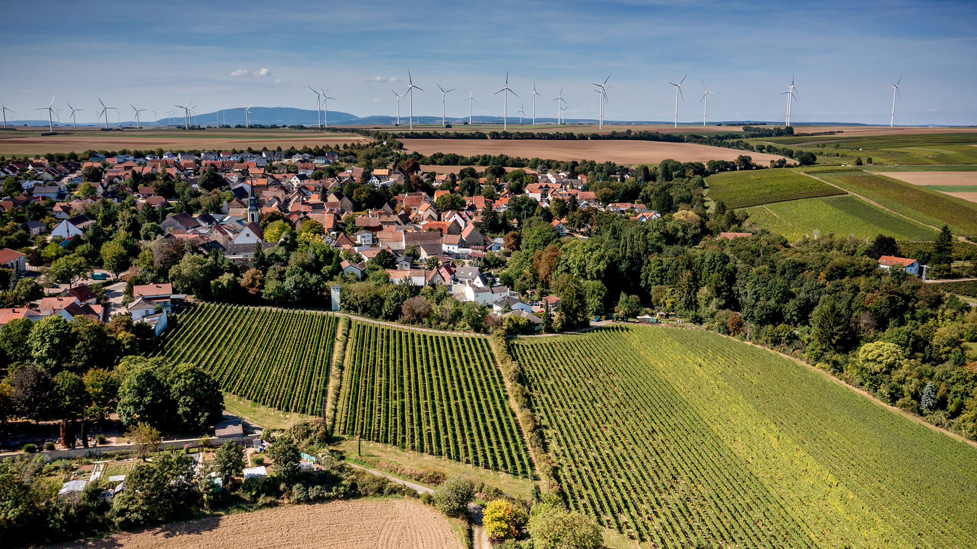 Flomborner Feuerberg - Weinlagen - Terroir - Anbaugebiet - Weinregion ...