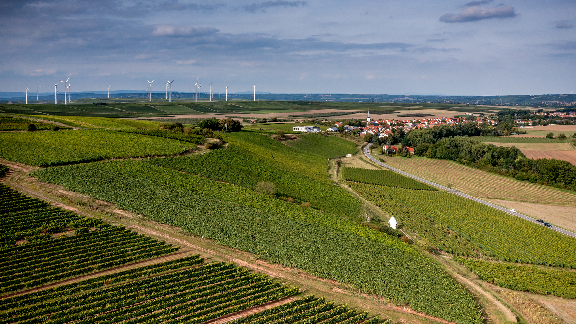 Uffhofener La Roche - Vineyards - Terroir - Germany's largest wine ...