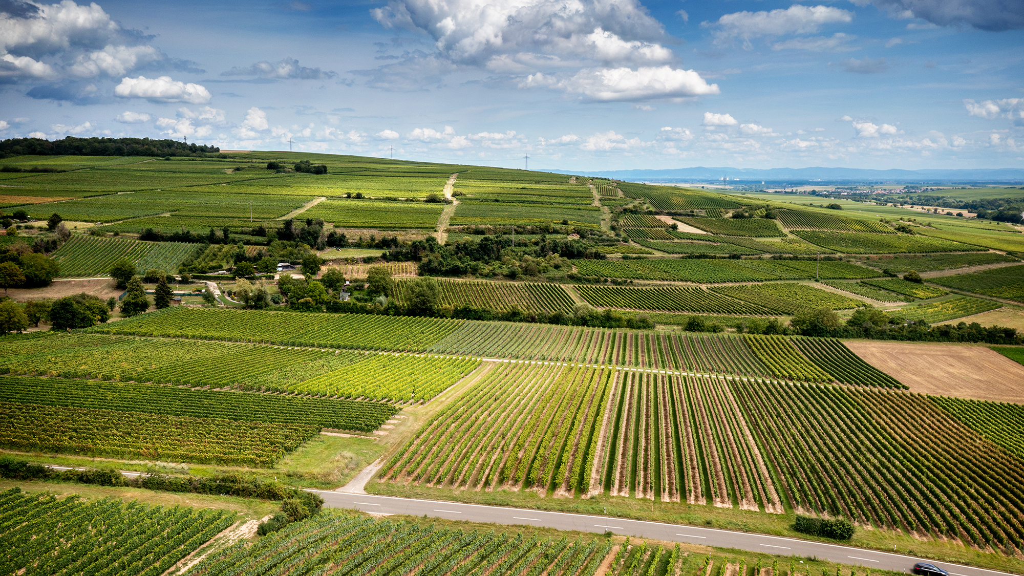 Hangen-Weisheimer Sommerwende (Summer Solstice of Hangen-Weisheim ...