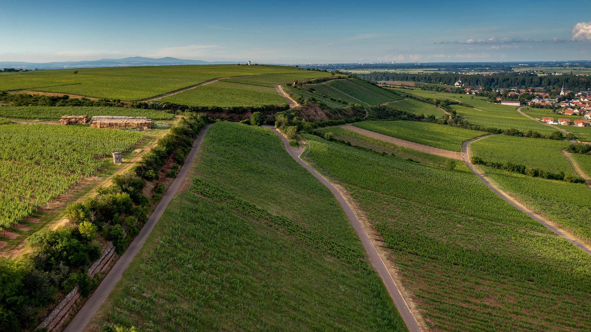 Niersteiner Orbel - Ingelheim