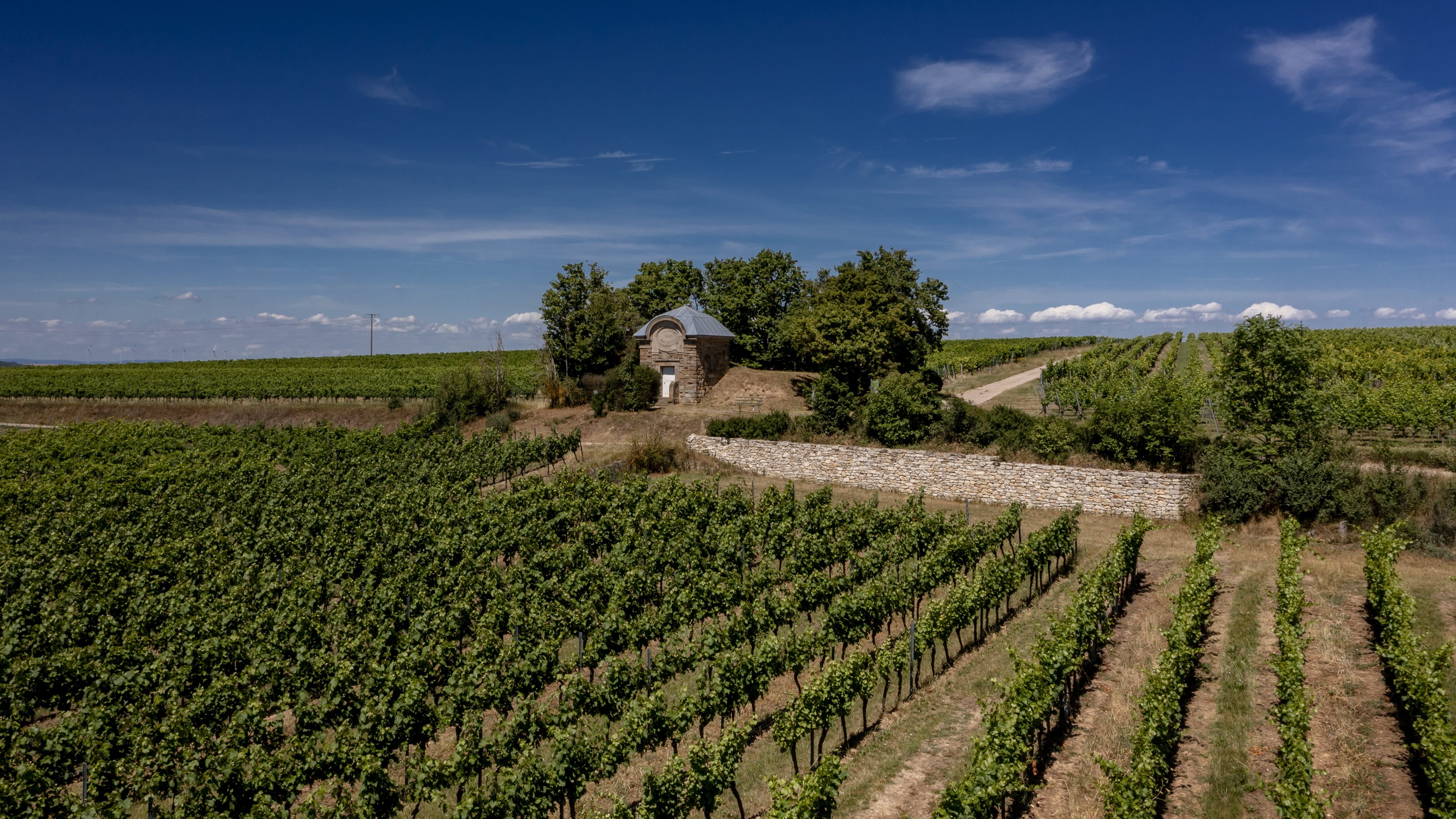 Dorn-Dürkheimer Hasensprung - Ingelheim